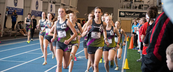 Sports Massage for Marathon Runners: A Must-Have? - AWS Rails